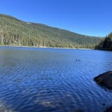Badger Lake Trail, Oregon - 59 Reviews, Map | AllTrails