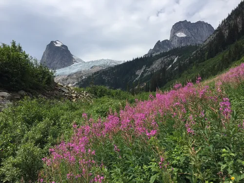 Best Hikes and Trails in Bugaboo Provincial Park | AllTrails