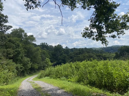 2023 Best 10 Trails and Hikes in Oak Ridge | AllTrails