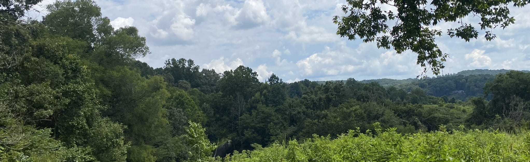 Gallaher Bend Greenway, Tennessee - 109 Reviews, Map | AllTrails