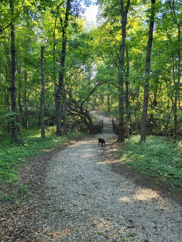 Best Hikes and Trails in Potts Memorial Park | AllTrails