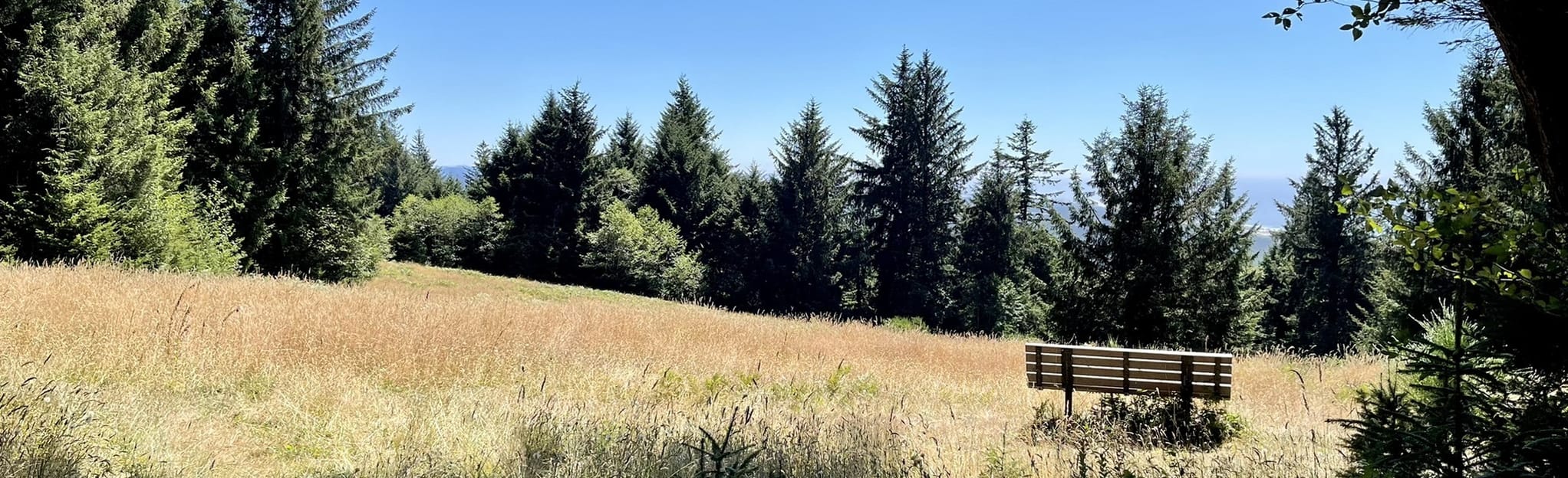 Berry Creek Trail, Nelson Ridge Trail, and Princess Tasha Trail Loop ...