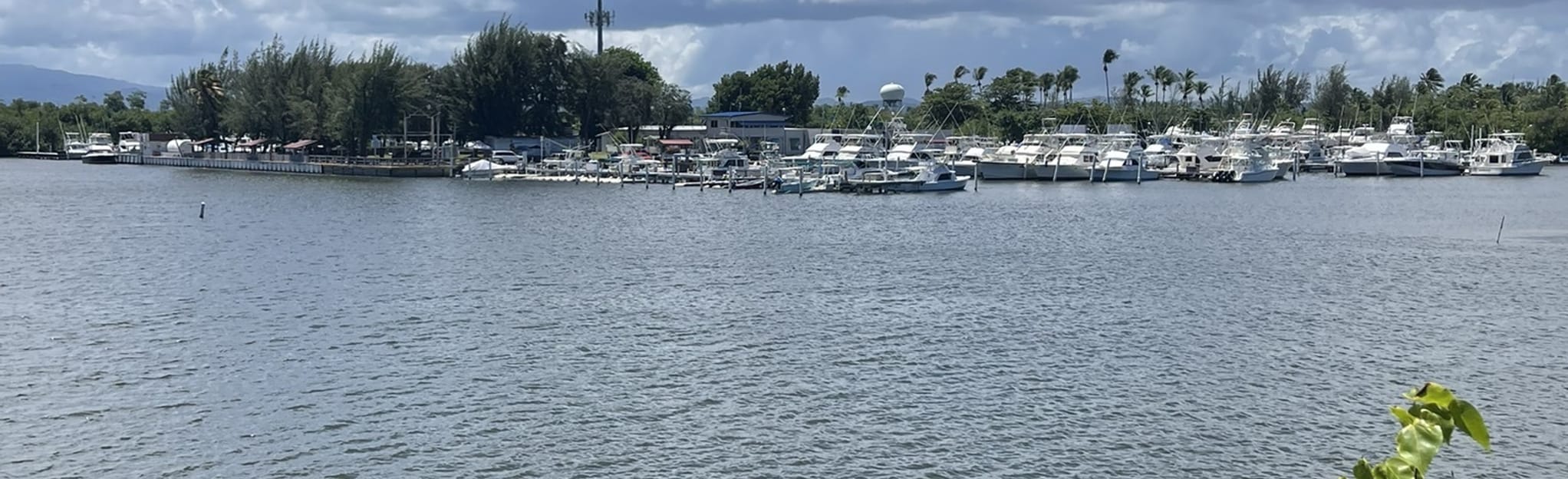 Paseo de Piñones: 35 Reviews, Map - East Region, Puerto Rico | AllTrails