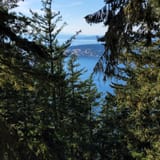 Turtleback Mountain South Trail , Washington - 376 Reviews, Map | AllTrails