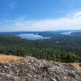 Turtleback Mountain South Trail , Washington - 376 Reviews, Map | AllTrails
