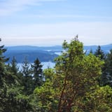 Turtleback Mountain South Trail , Washington - 376 Reviews, Map | AllTrails
