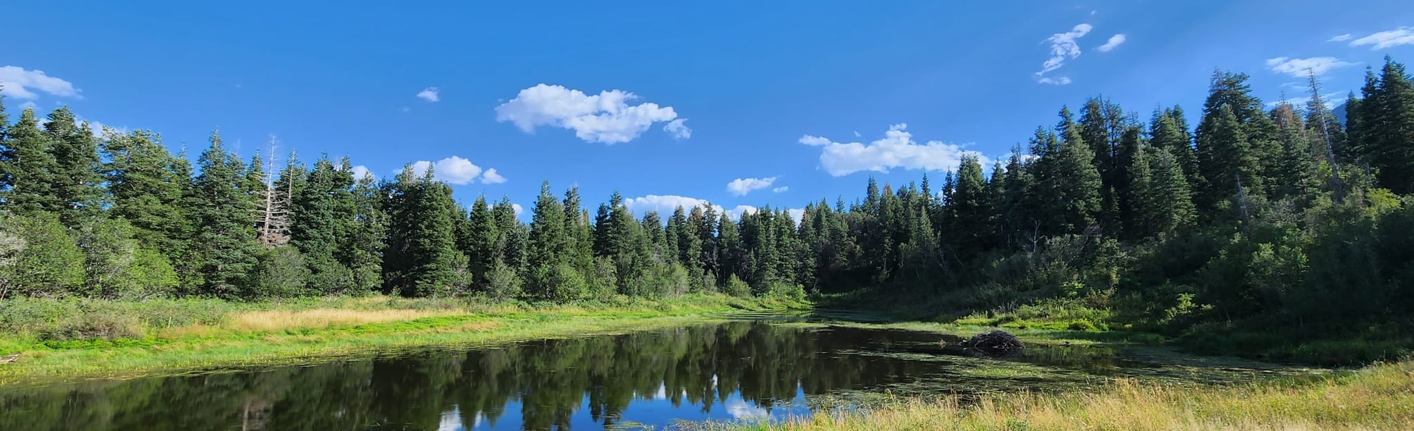 Green Pond Trail: 1,172 Reviews, Map - Utah | AllTrails