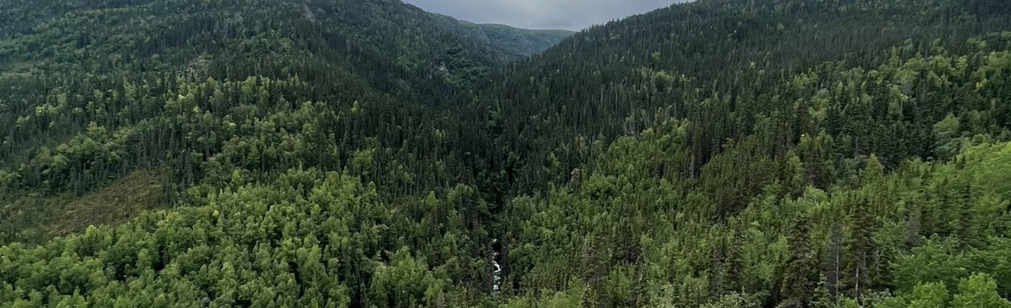 Liberty Falls Trail: 73 Reviews, Map - Alaska | AllTrails