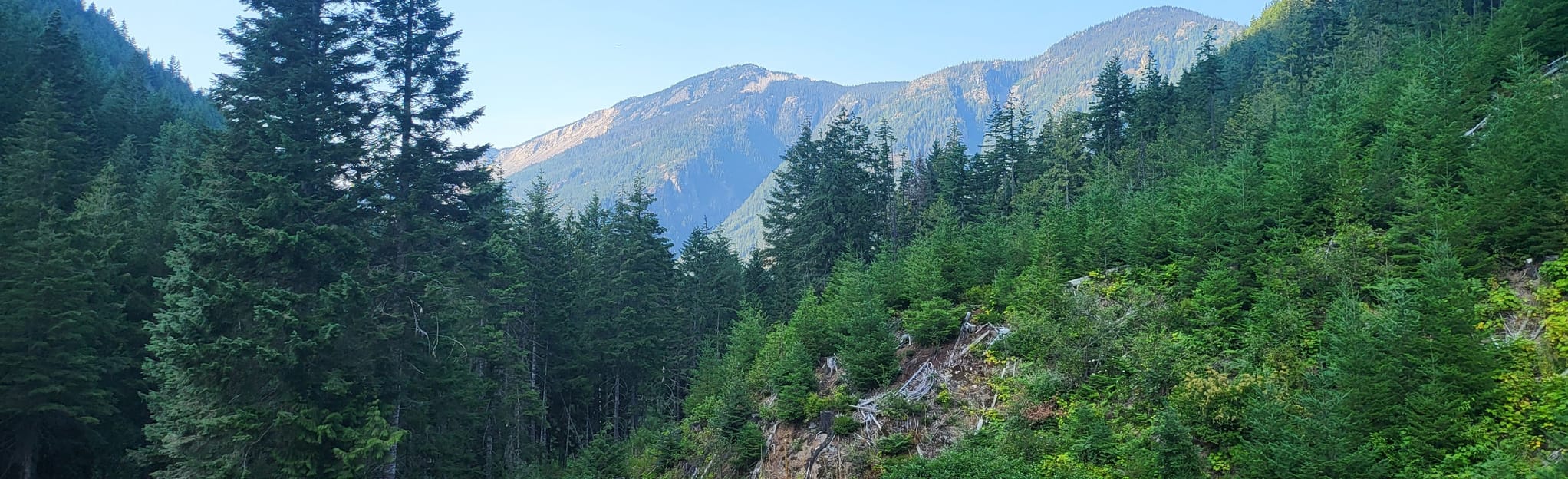 Silver Tip Lake: 11 Fotos - British Columbia, Kanada | Wandern | AllTrails