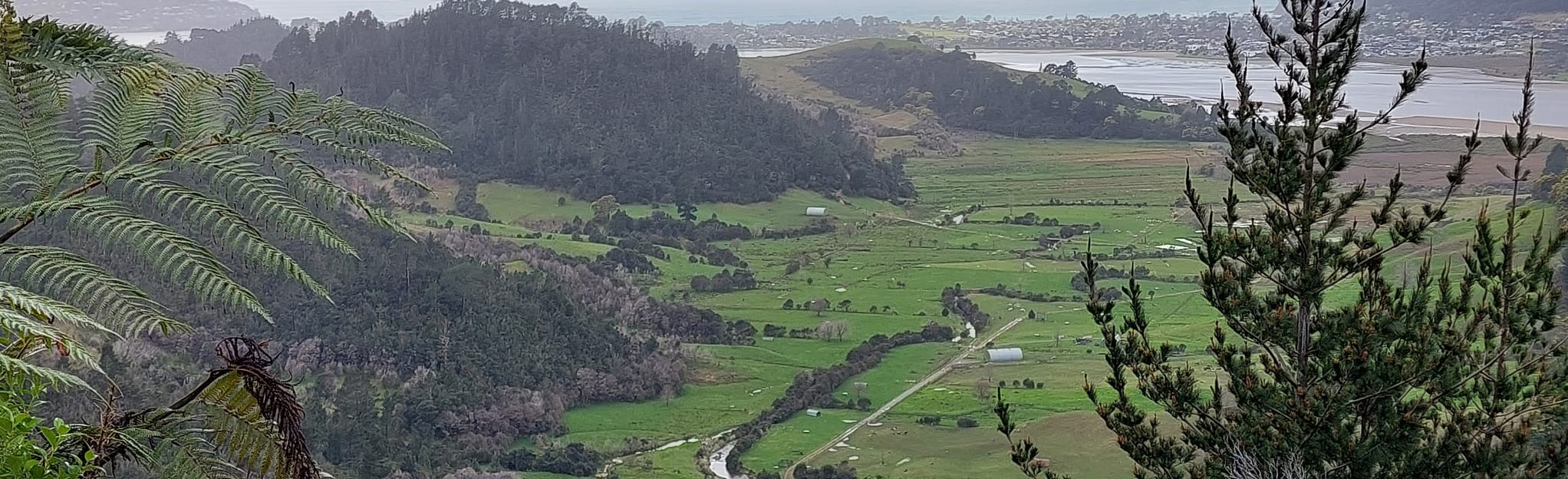 Tairua Offroad Loop, Waikato, New Zealand - 3 Reviews, Map | AllTrails