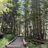 Slab Camp Trail, Washington - 251 Reviews, Map | AllTrails