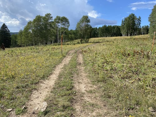 Best Hikes and Trails in Uintah and Ouray Indian Reservation | AllTrails