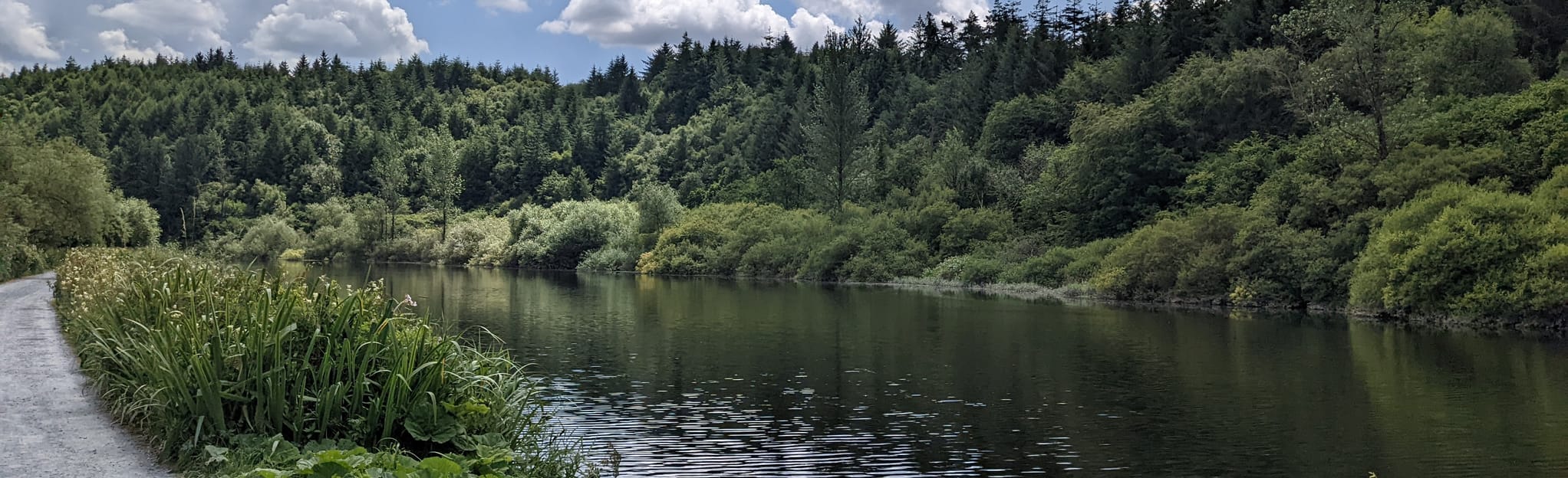 The Barrow Way: Graiguenamanagh to Saint Mullins, County Carlow ...