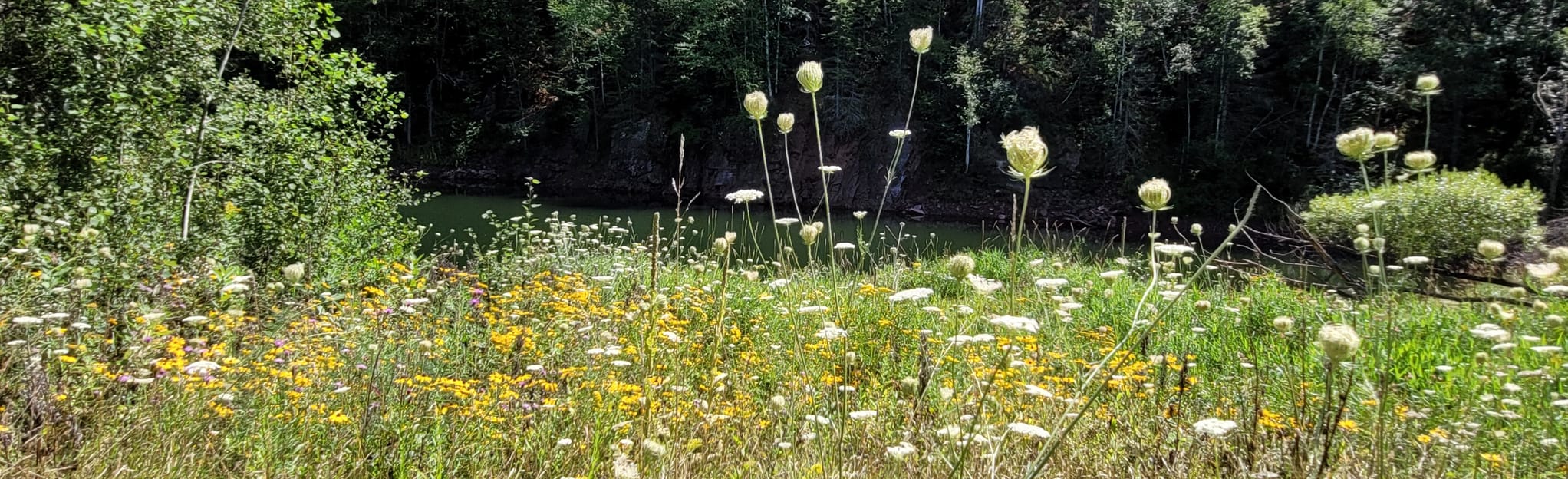 Red Devil and Upper Ridge Trails: 26 Reviews, Map - Michigan | AllTrails