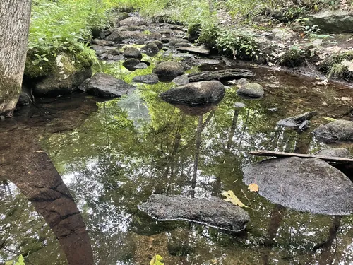 10 Best Walking Trails in Worcester | AllTrails