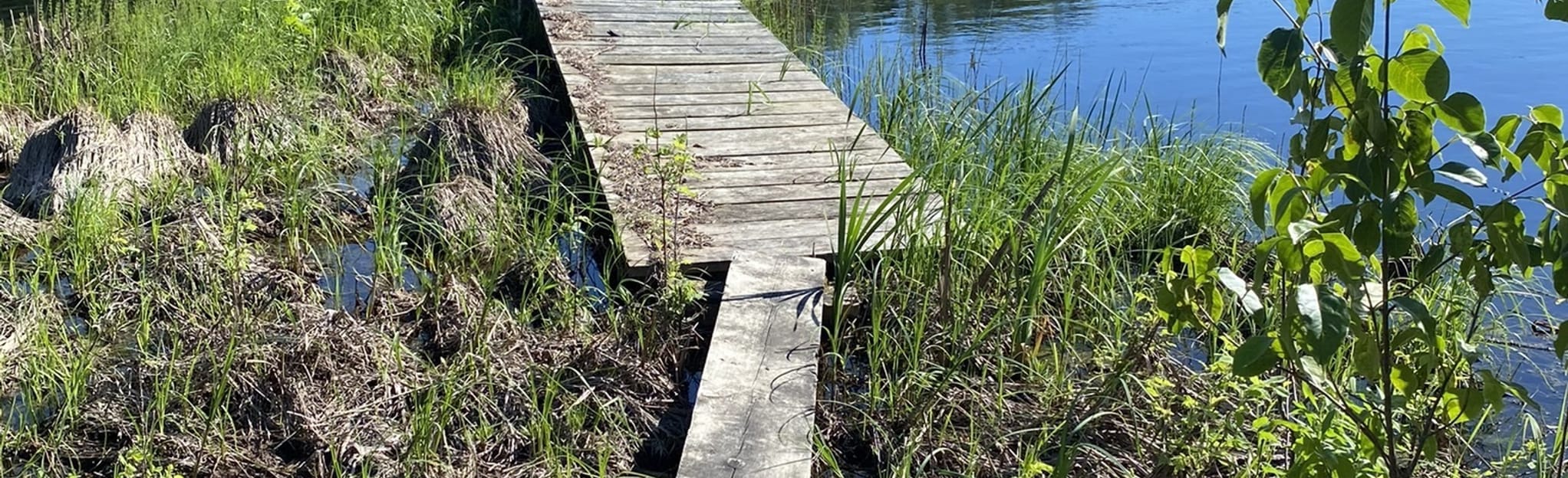 Kab-Ash Trail | Map, Guide - Minnesota | AllTrails