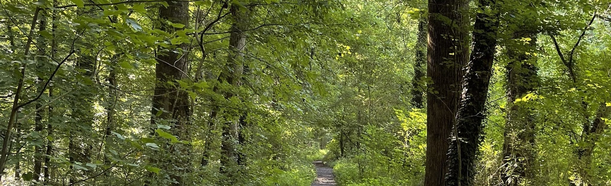 Cascade Springs Nature Preserve Outer Loop, Georgia - 950 Reviews, Map ...