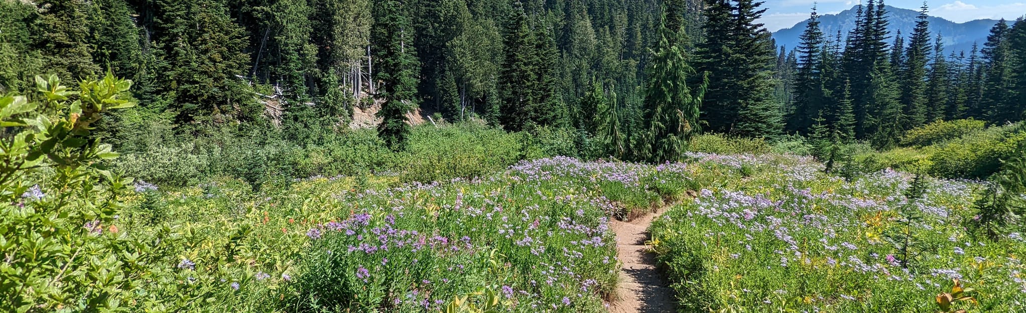 Wonderland Trail: White River Campground to Box Canyon, Washington - 63 ...
