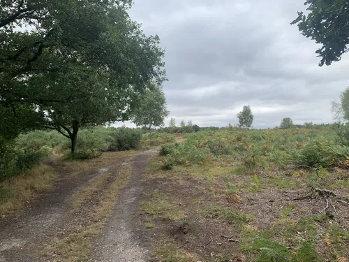 10 Best Trails and Hikes in Reading | AllTrails