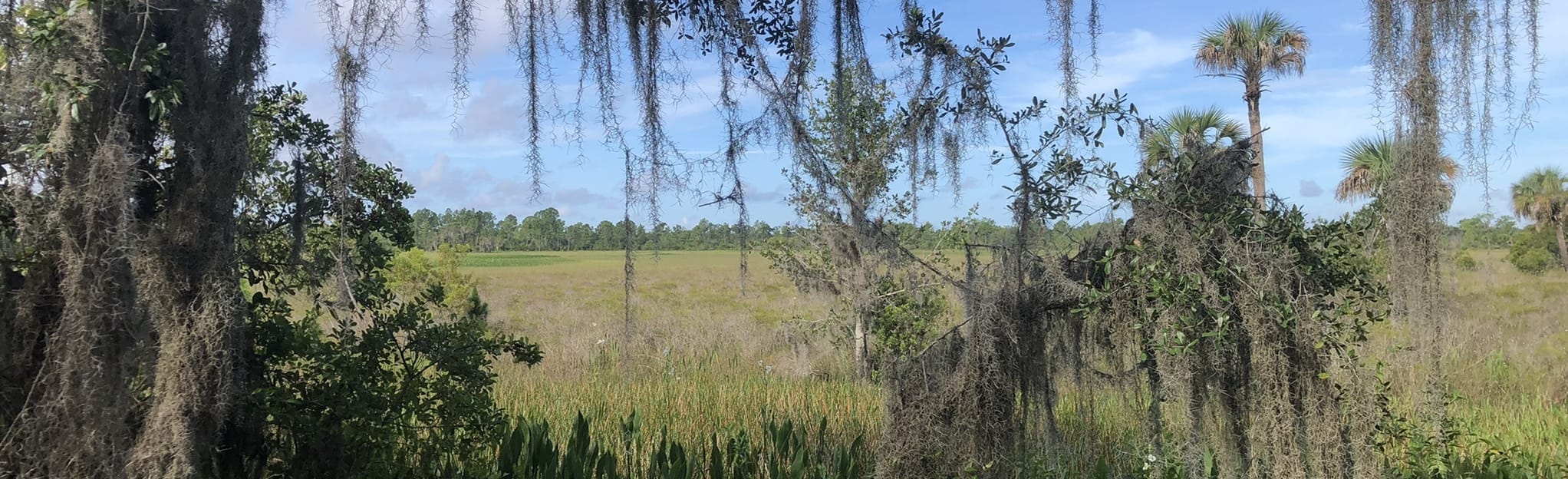 Sumica Trail: 25 Reviews, Map - Florida | AllTrails