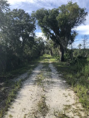 Best Hikes and Trails in SUMICA | AllTrails