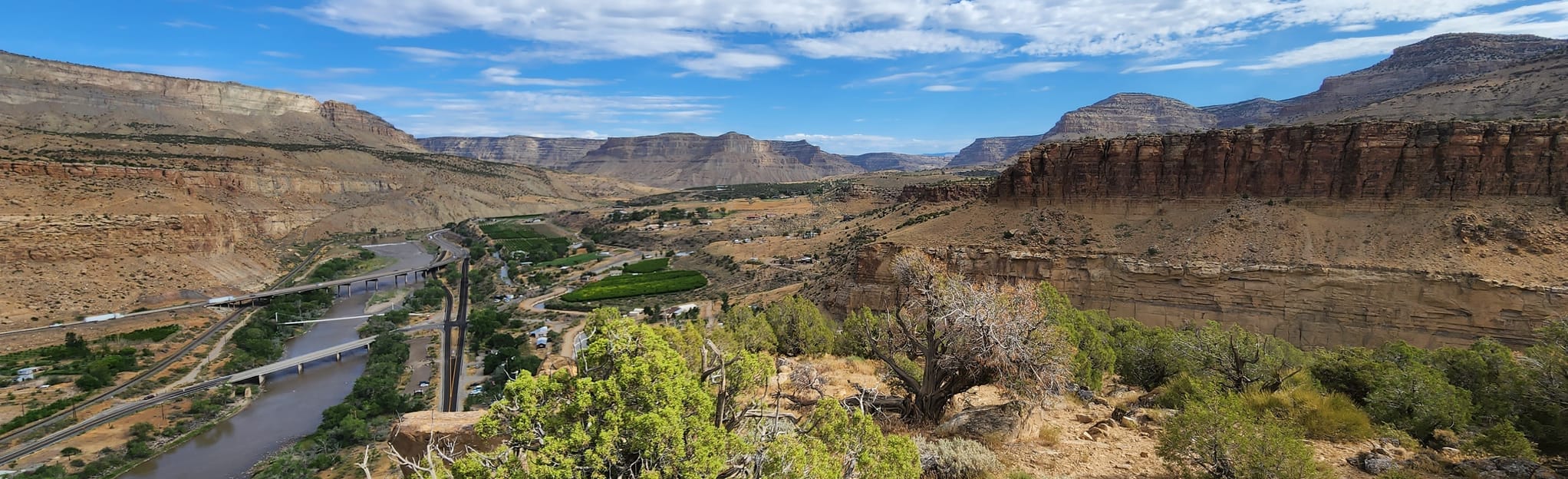 Palisade Rim Upper Loop: 221 Reviews, Map - Colorado | AllTrails