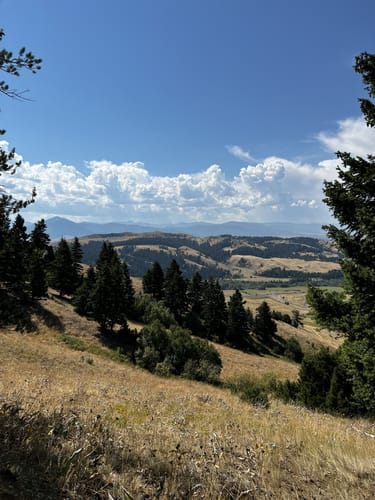 2023 Best 10 Trails in Custer Gallatin National Forest | AllTrails