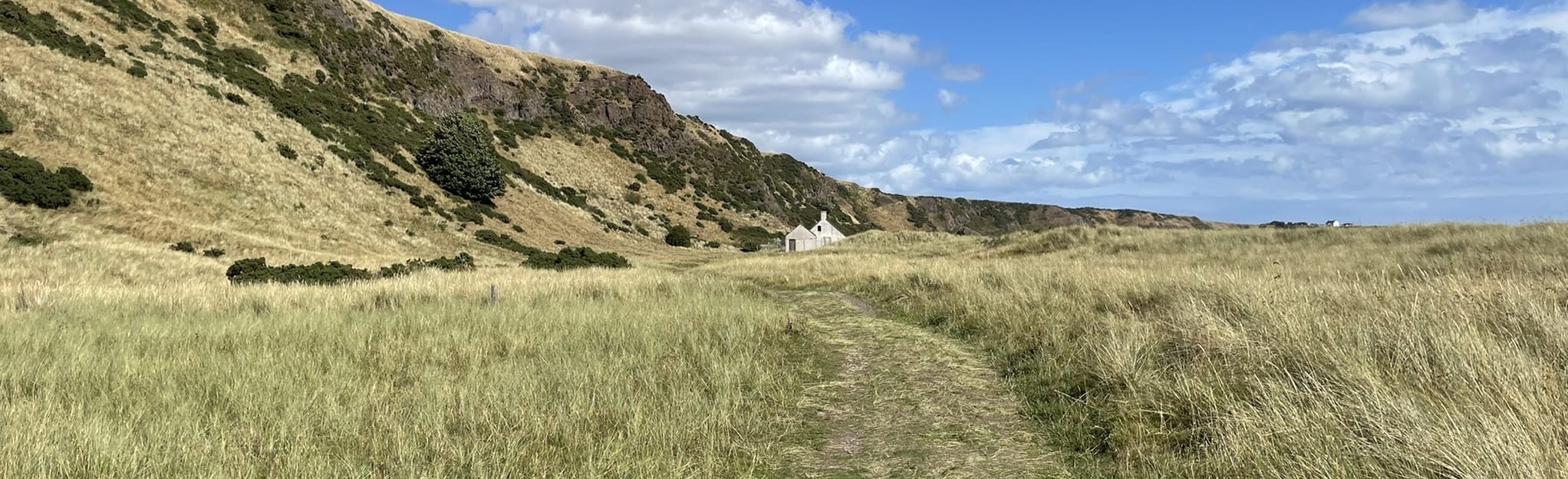St Cyrus Beach and Cliffs Circular: 16 Reviews, Map - Aberdeenshire ...