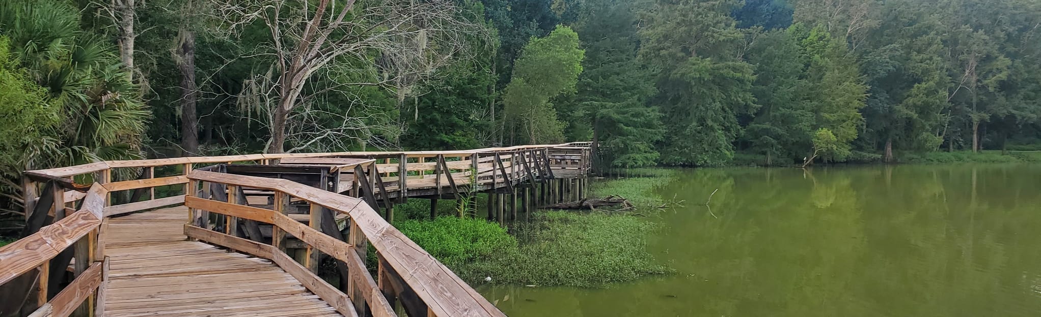 San Luis Park Loop Trail: 135 foto's - Florida | AllTrails