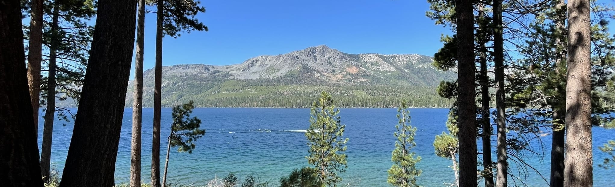 Fallen Leaf Lake Trail, California - 1,108 Reviews, Map | AllTrails
