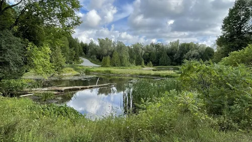 Best Hikes and Trails in Heber Down Conservation Area | AllTrails