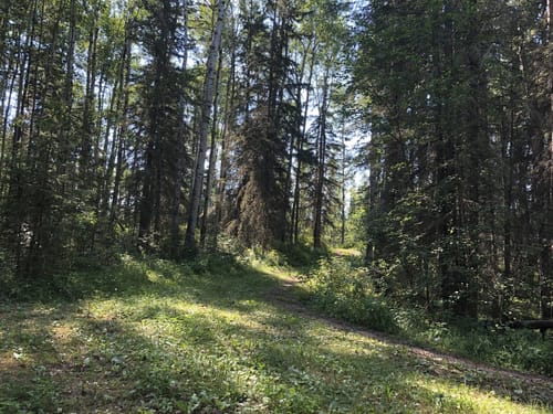 Best Hikes and Trails in Cross Lake Provincial Park | AllTrails