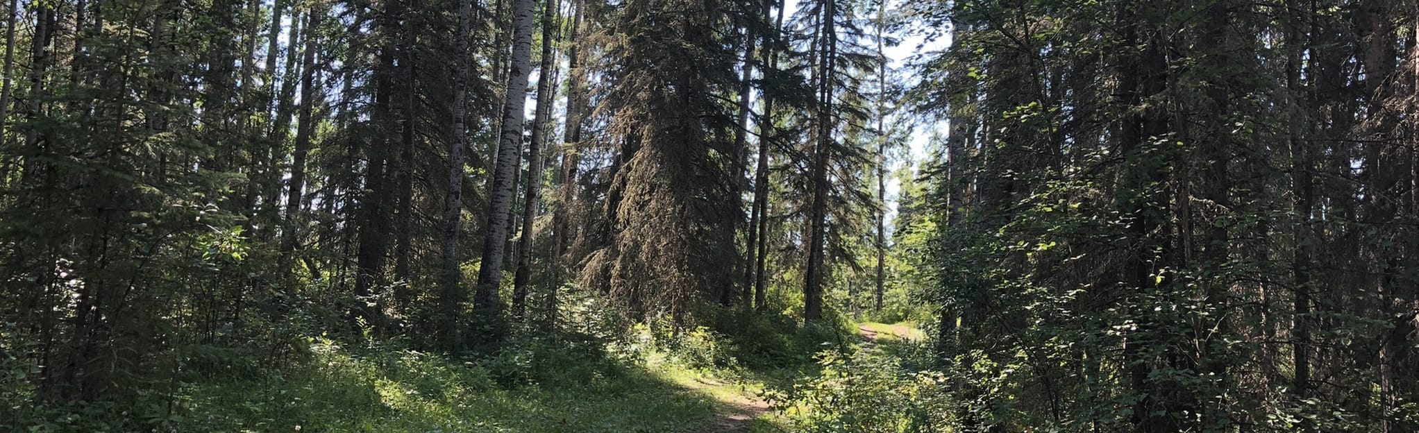 George's Point: 5 Reviews, Map - Alberta, Canada | AllTrails