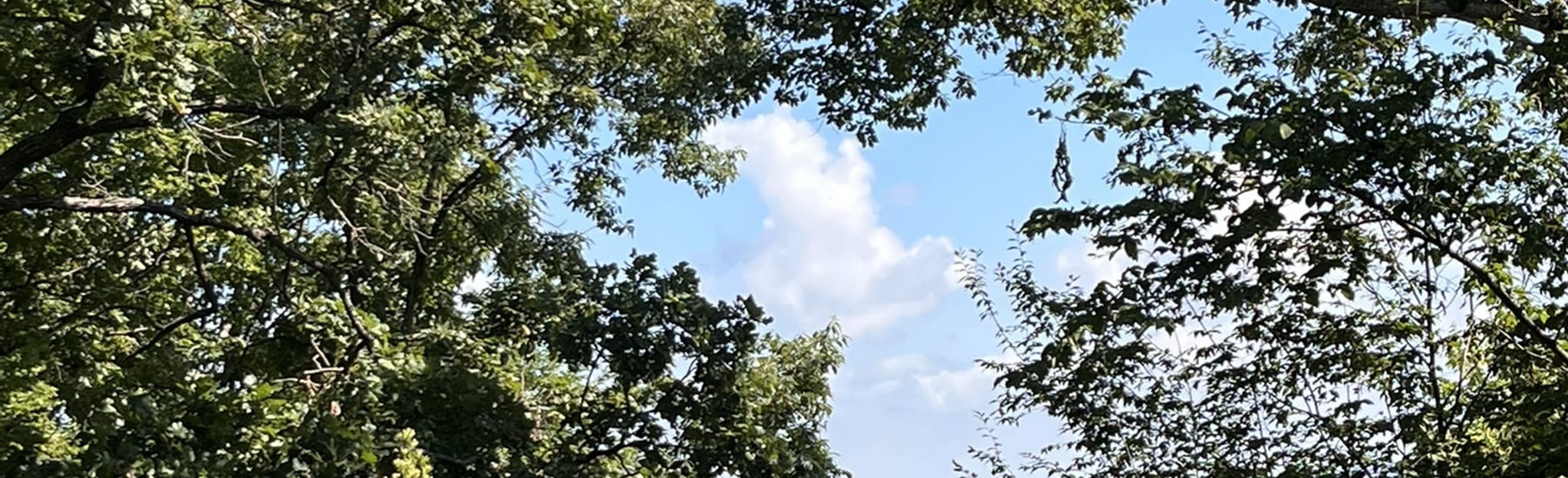 Indian Cave North Ridge Trail via 1st Trailhead, Nebraska - 67 Reviews ...