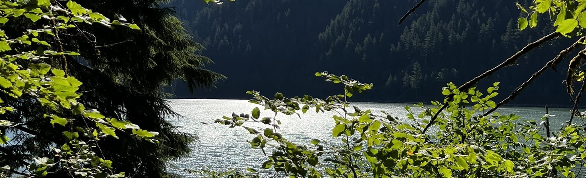 Beaver Bay Trail | Map, Guide - Washington | AllTrails