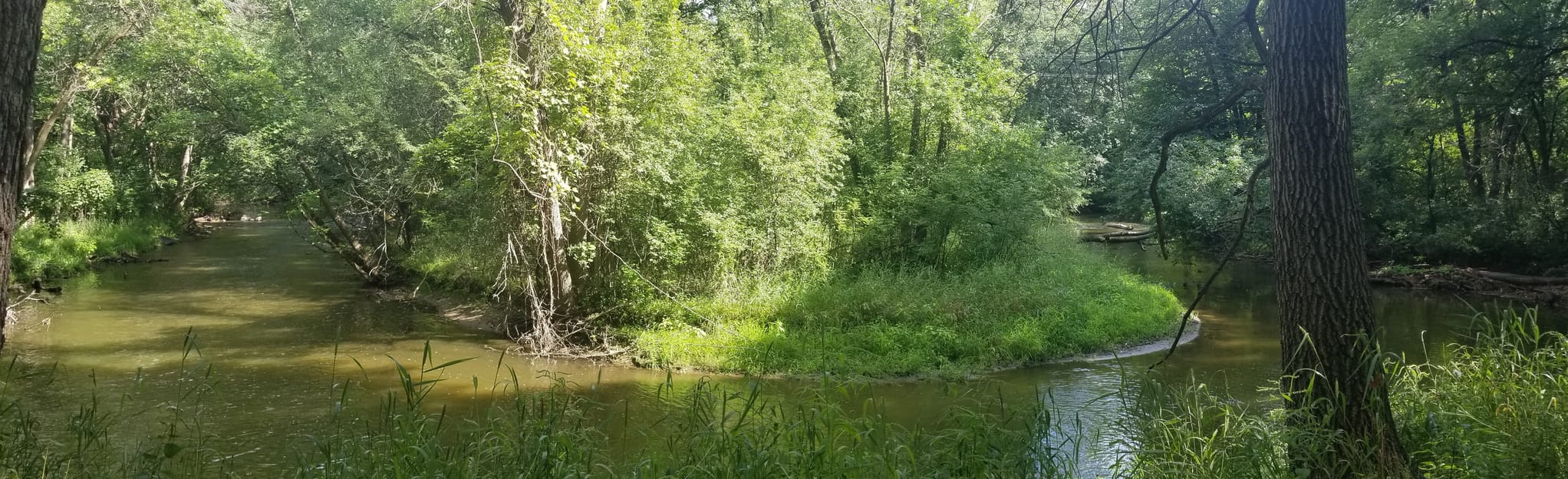 Locke County Park Loop, Minnesota - 109 Reviews, Map | AllTrails