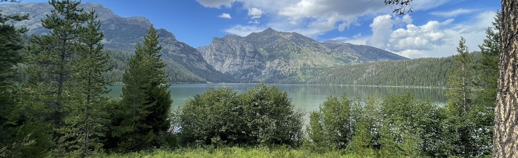 Granite Canyon to Phelps Lake Loop, Wyoming - 4 Reviews, Map | AllTrails
