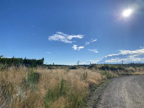 Best Hikes and Trails in Port Gamble Forest Heritage Park | AllTrails