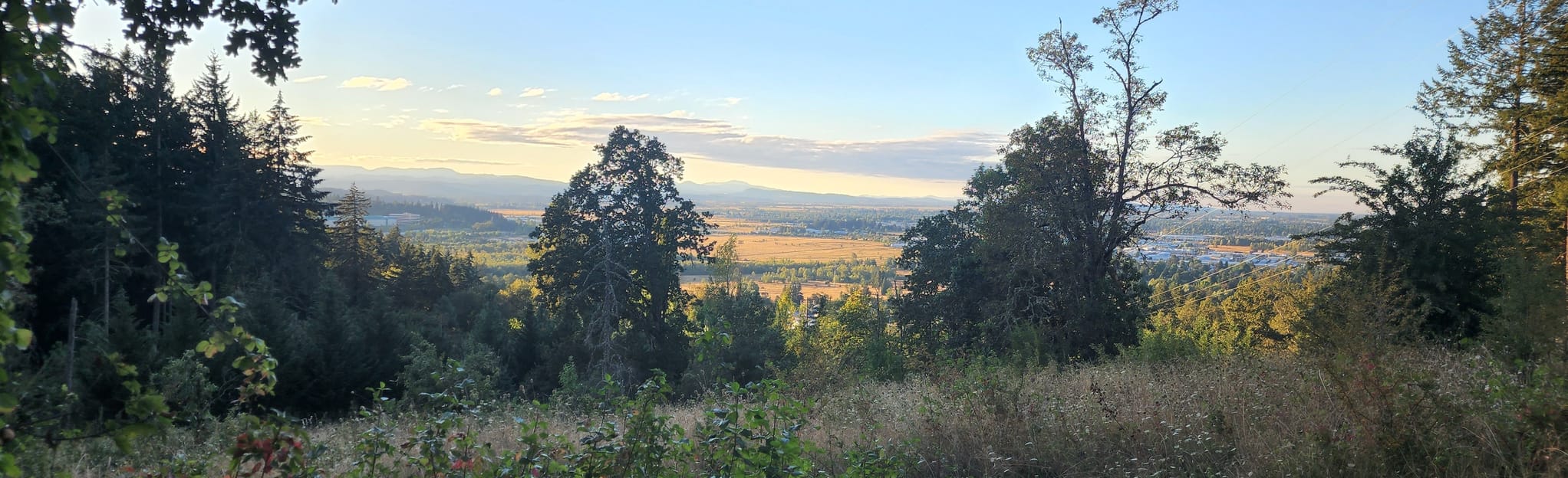 Wild Iris Ridge Loop from Summit Sky Boulevard - Oregon | AllTrails