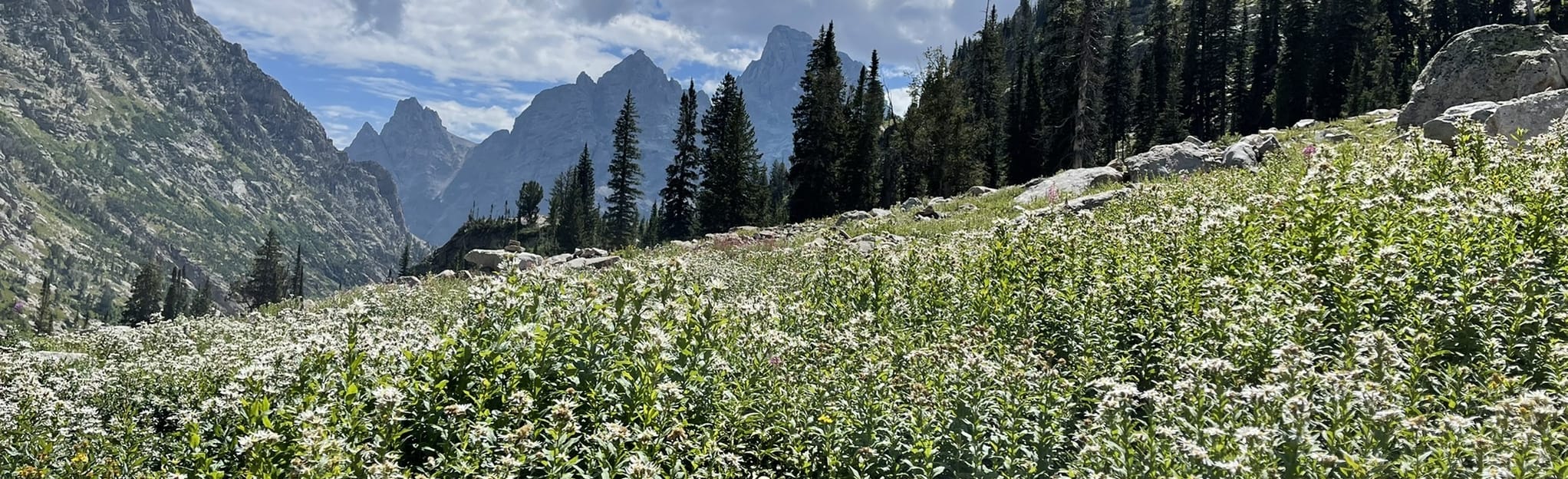 Paintbrush Canyon - Cascade Canyon Loop: 856 Reviews, Map - Wyoming ...