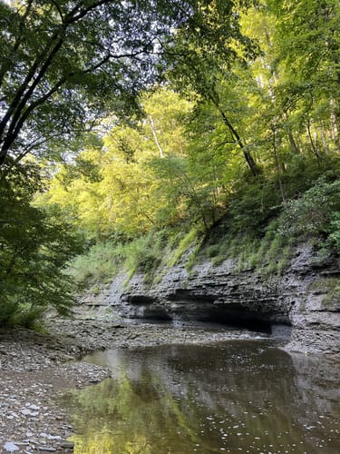 2023 Best Views Trails in Clifty Falls State Park | AllTrails