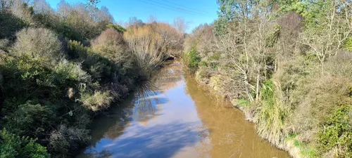 10 Best Trails and Hikes in Timaru | AllTrails