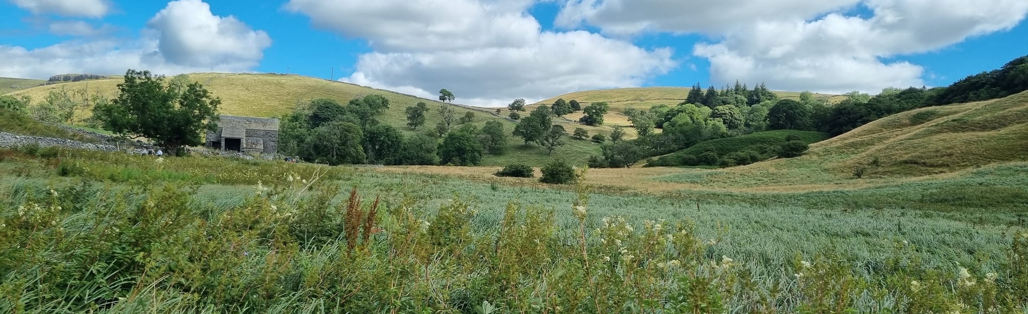 Malham Tarn and Cove Circular, North Yorkshire, England - 19 Reviews ...