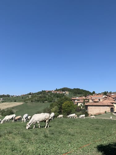 2023 Best Historic Site Trails in Murisengo | AllTrails