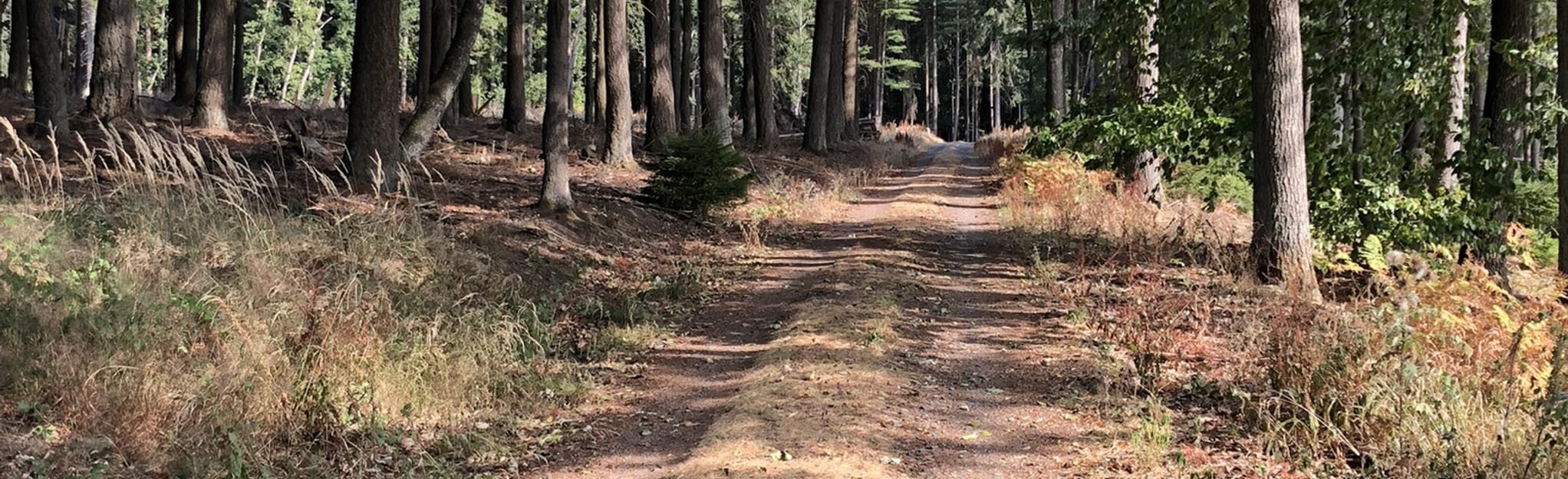 Kellerberg - Großer Steinbruch - Saukopf: 5 foto's - Hessen, Duitsland ...