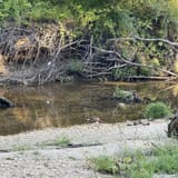 Henson Creek Trail, Maryland - 269 Reviews, Map | AllTrails