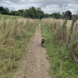 Boroughbridge Circular, North Yorkshire, England - 107 Reviews, Map ...