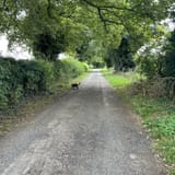 Boroughbridge Circular, North Yorkshire, England - 107 Reviews, Map ...