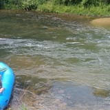 Pine River Kayak, Michigan - 25 Reviews, Map | AllTrails