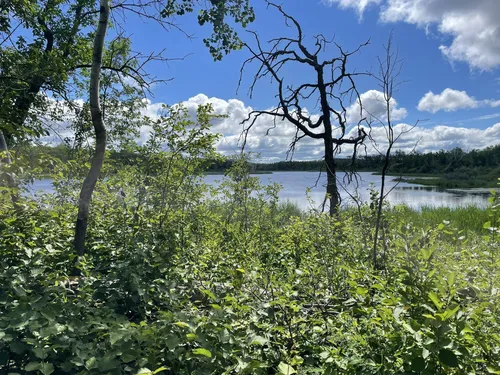 10 Best Hikes and Trails in Turtle Mountain Provincial Park | AllTrails